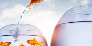 Uma fé capaz de vencer o mundo I Leia o trecho em 1Jo 5,1-5